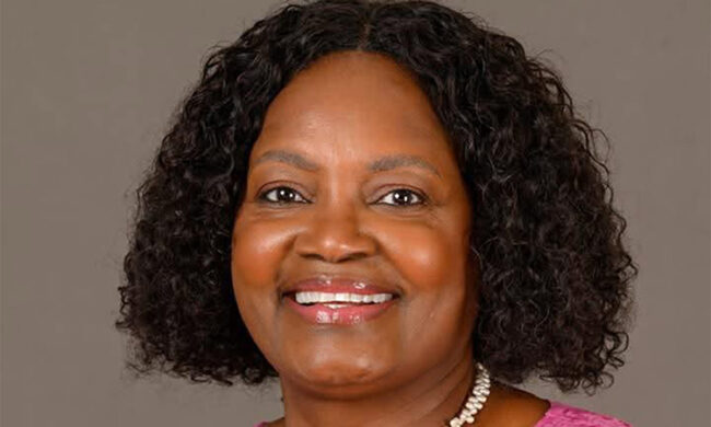 Government reshuffles , appoints new Executive Directors – Namibia ...